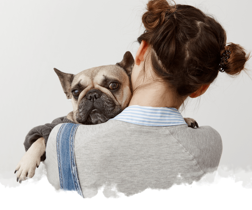 Aeternal Paws - Pet Cremation Services